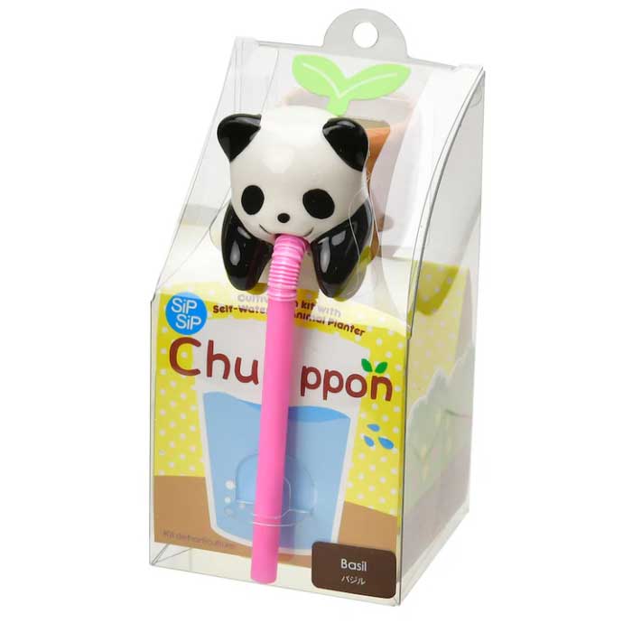 Chuppon Self-Watering Growing Kit - Panda – Giant Kitten